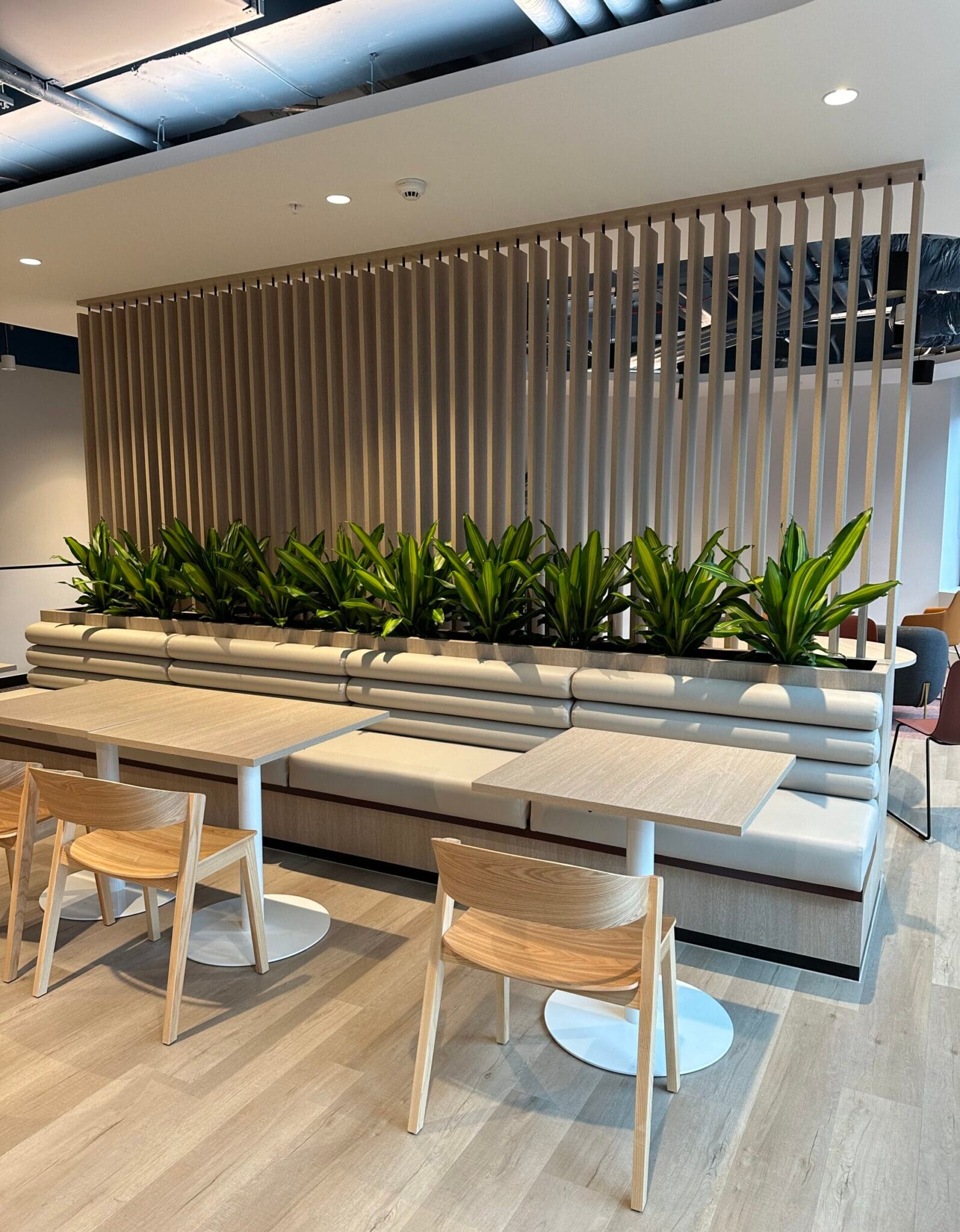 Indoor Plants Hire Melbourne | Office Plant Hire Melbourne